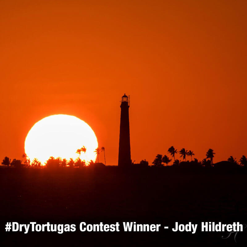 May Dry Tortugas Photo Contest Winner