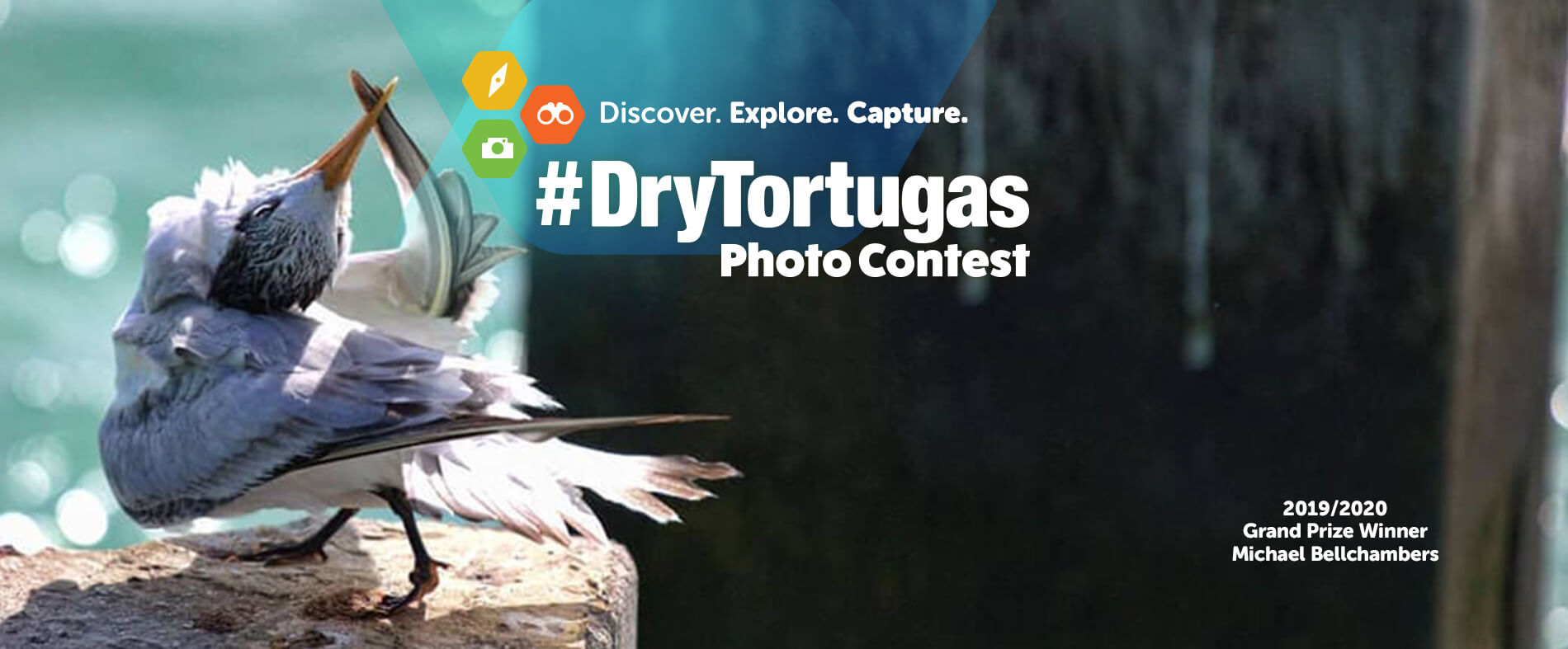 2021 #DryTortugas Photo Contest by Yankee Freedom III Ferry